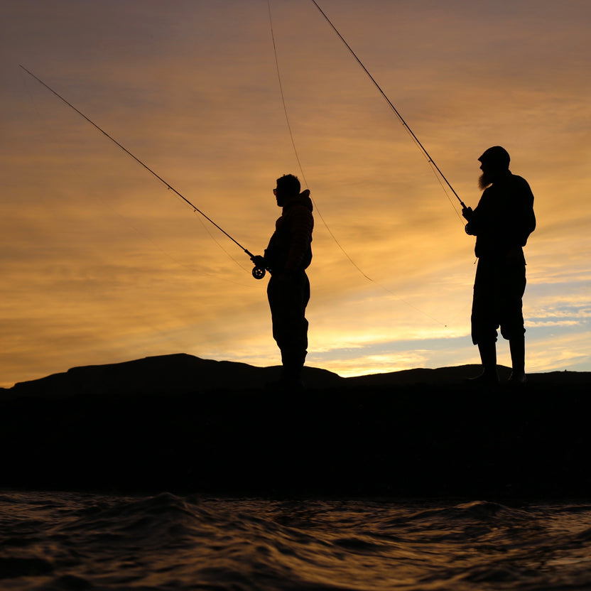 Hybrid Light | Solar Power in the Palm of Your Hand – Hybrid Light Official
