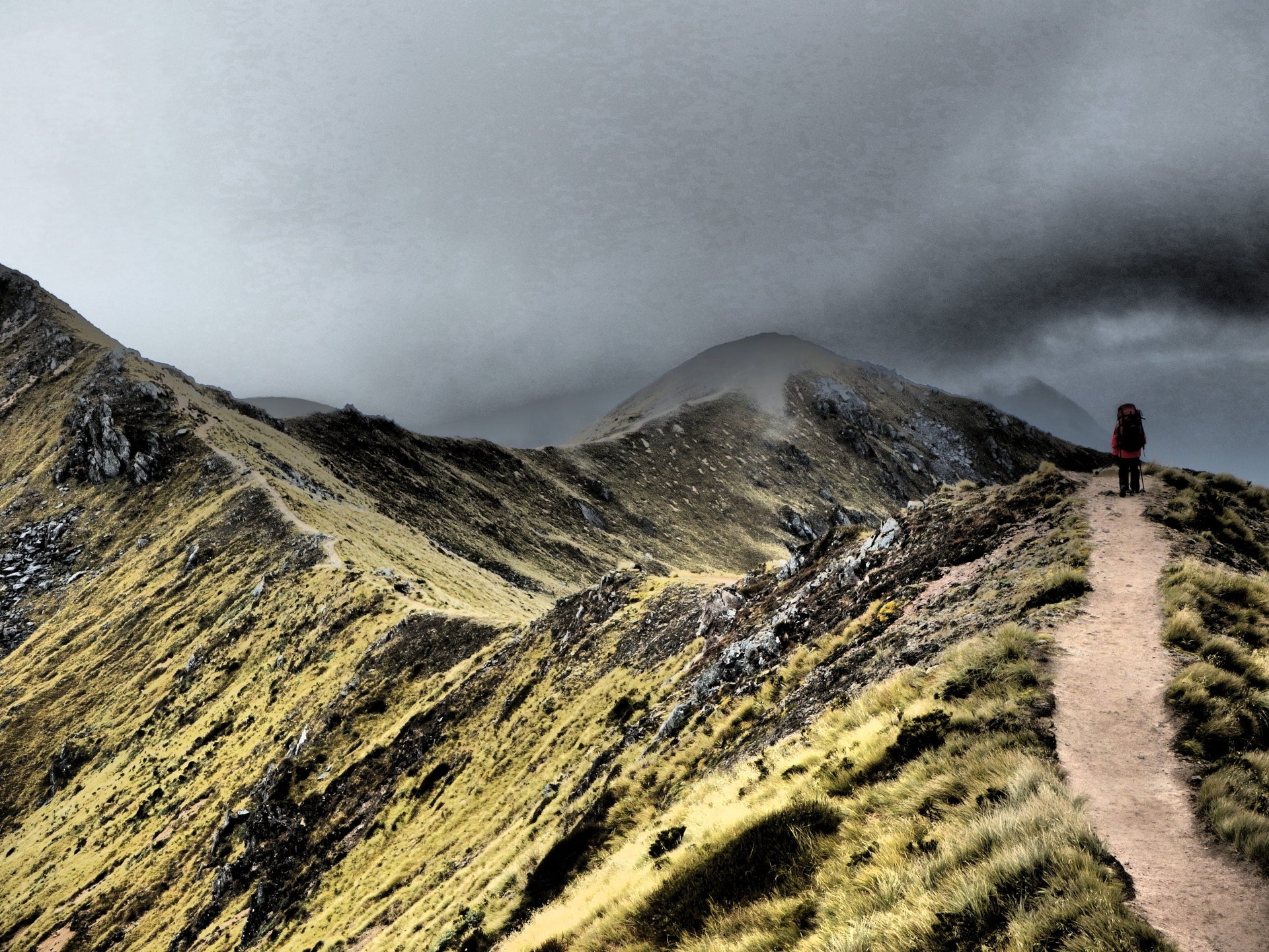 Hybrid Light | Solar Power in the Palm of Your Hand – Hybrid Light Official